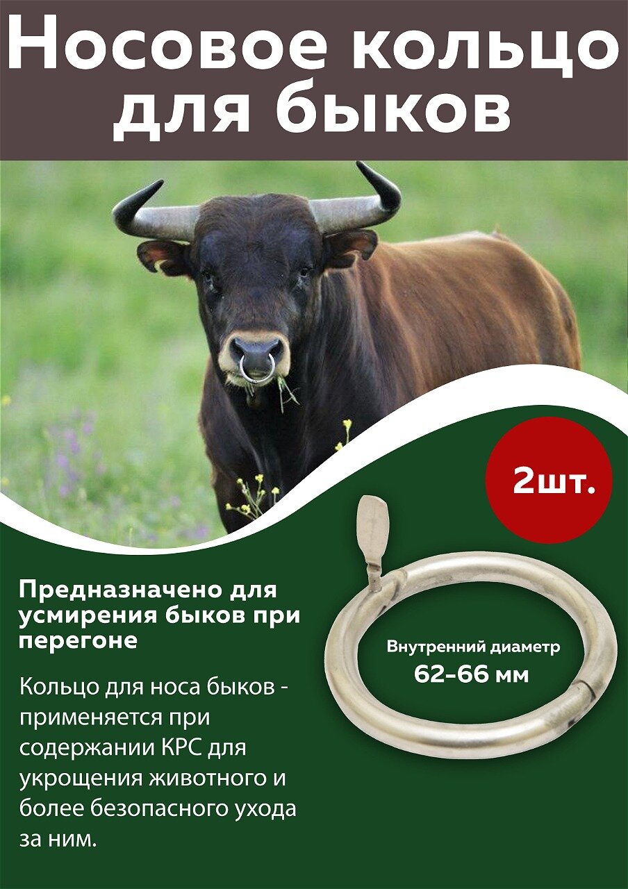 Кольцо носовое для быков, нержавеющая сталь, 2 штуки