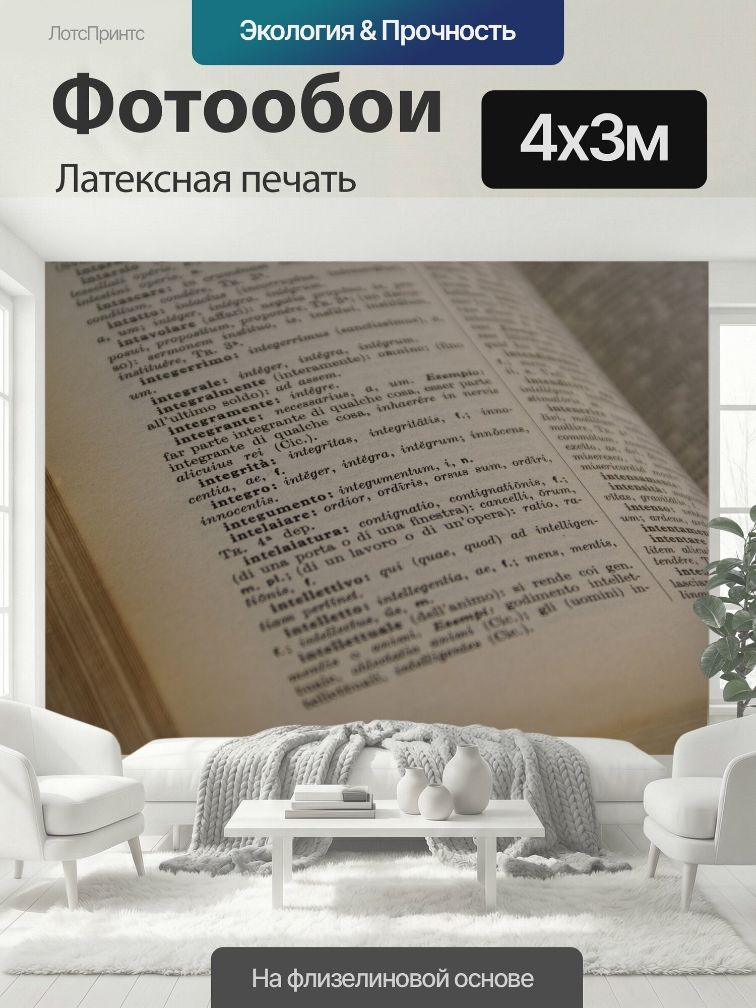 Фотообои моющиеся ударопрочные "Старая книга Латинский словарь книги словарь латинский библиотека чтение текст перевод писатель сценарий автор." 400x300 см. латексная печать