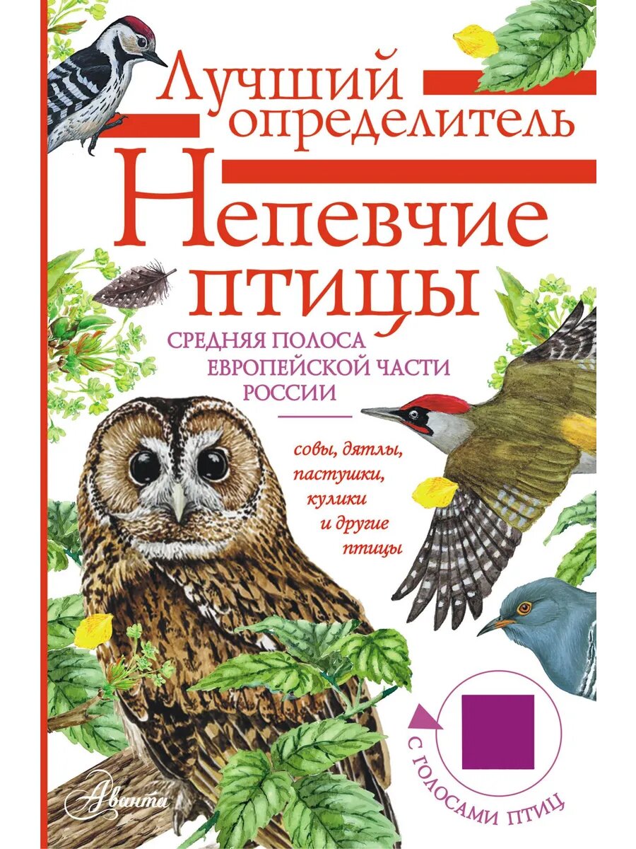 Книга Непевчие птицы. Средняя полоса европейской части Росси