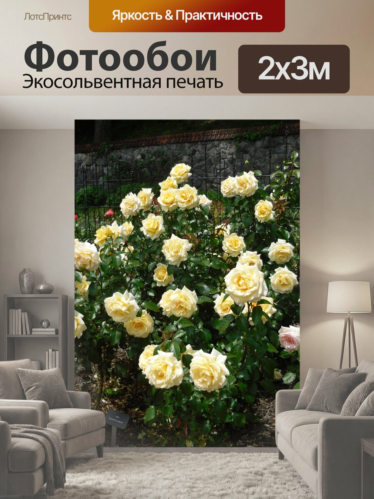 Фотообои "Розы Розовый сад розы сад сады красивый цветение цветы цветочные красивая природа желтые" 200x300 см. экосольвентная печать