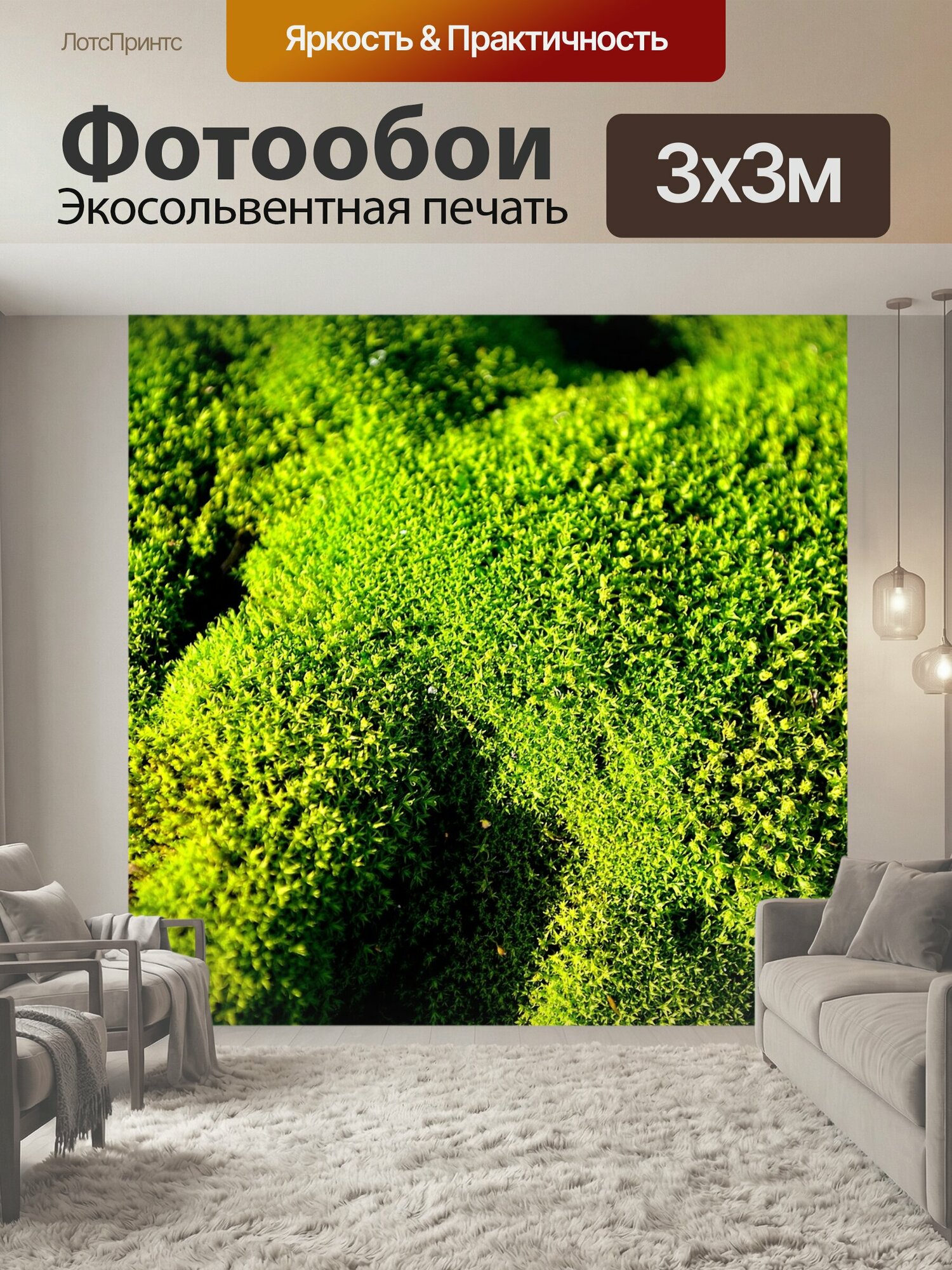 Фотообои "Зеленый, мох, макрос" 300x300 см. экосольвентная печать