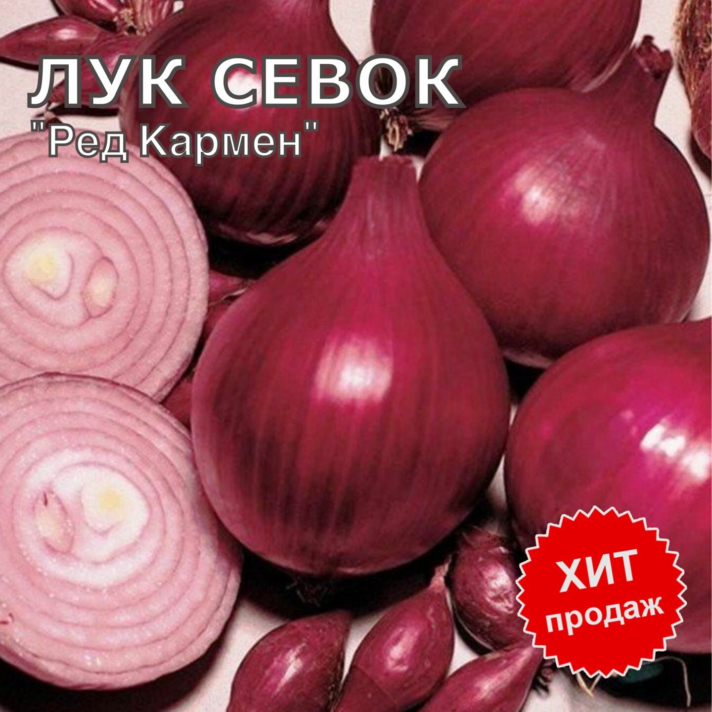 Лук севок озимый на посадку красный Ред Кармен 600гр