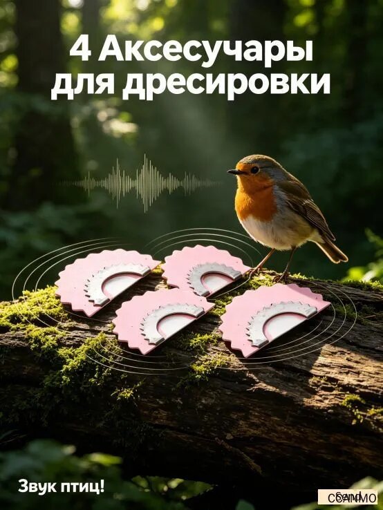 4 Аксессуары для дрессировки