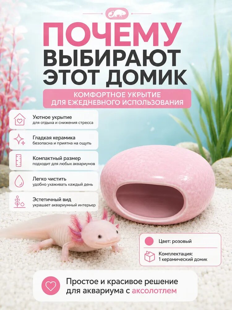 Аквариум для аксолотля — фото 1