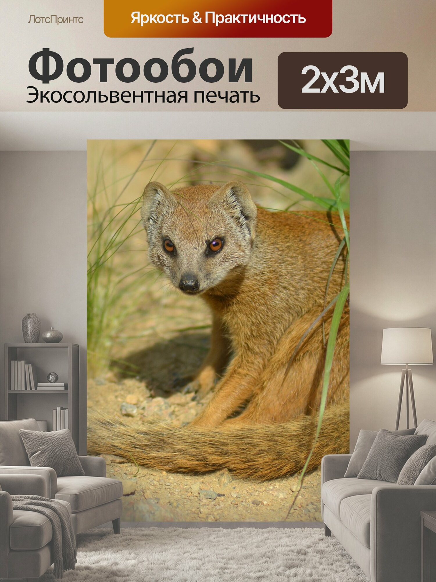 Фотообои "Желтый мангуст, cynictis penicillata, африка" 200x300 см. экосольвентная печать