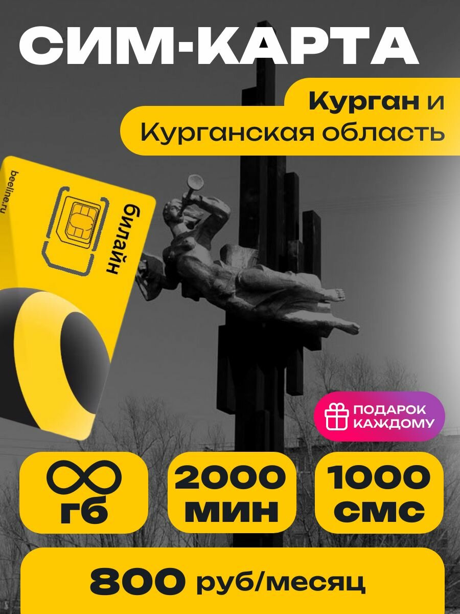 Сим-карта Билайн тариф Супер Выгодный Курганская область Безлимитный интернет и 2000 минут за 800 руб.