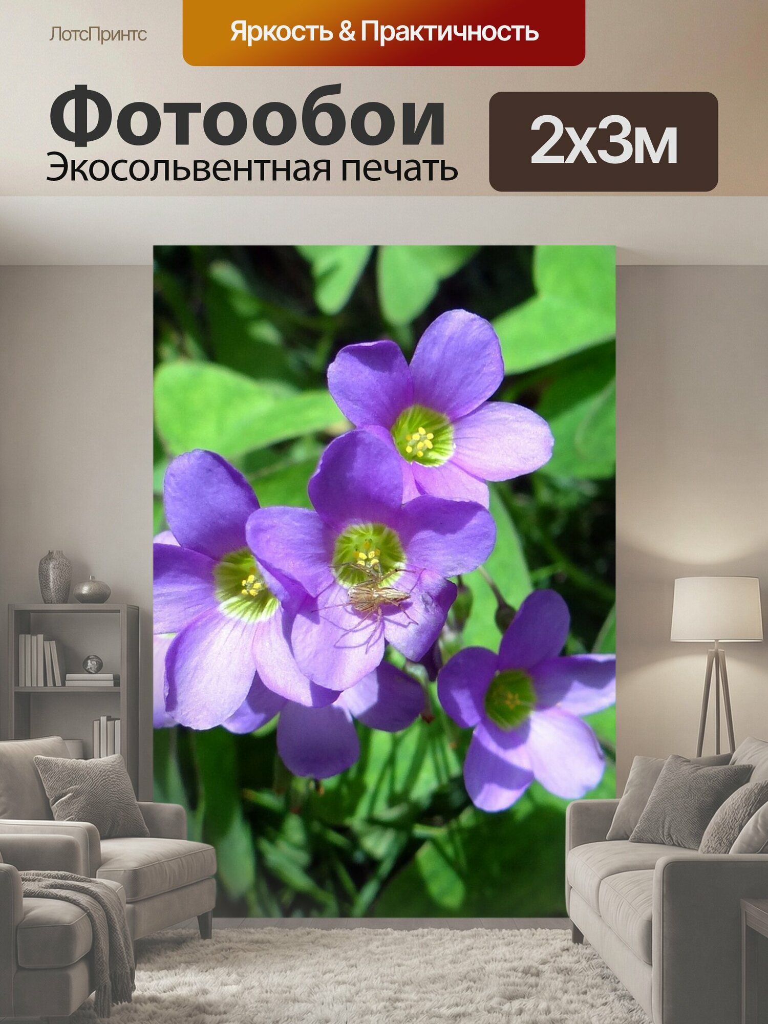 Фотообои "Ползучий щавель, цветок, ползучий оксалис" 200x300 см. экосольвентная печать