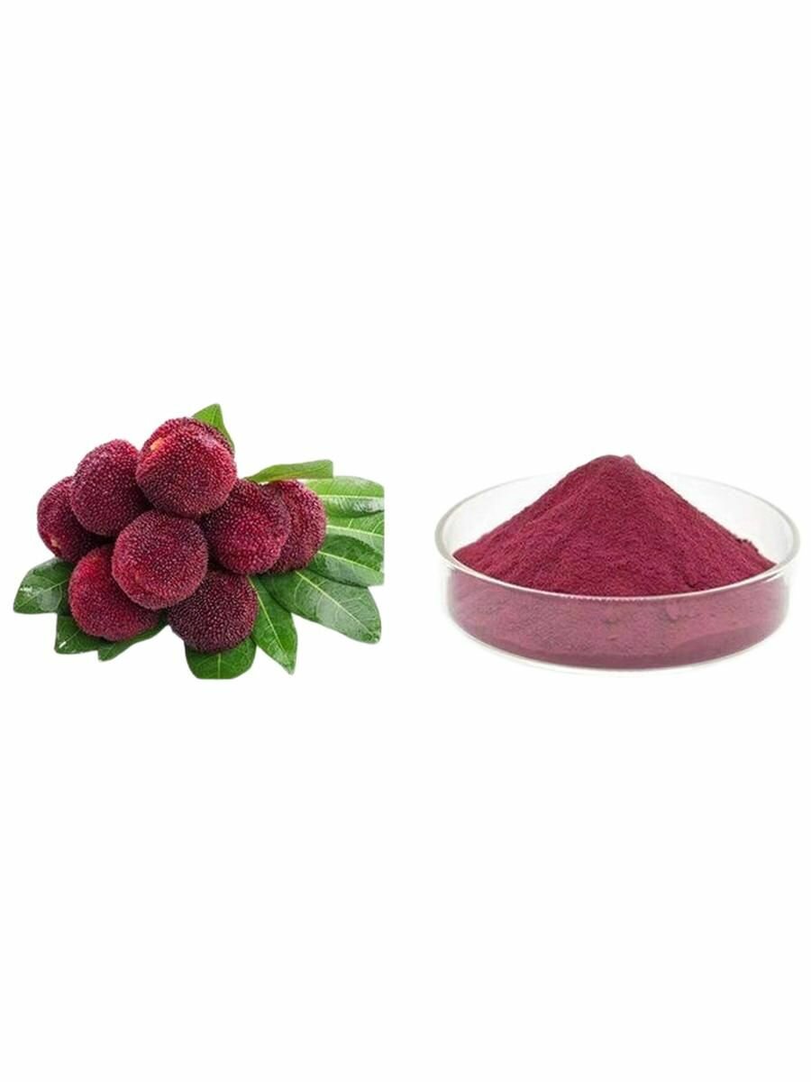 Порошок с экстрактом красной смородины 200 грамм, Red Bayberry Extract