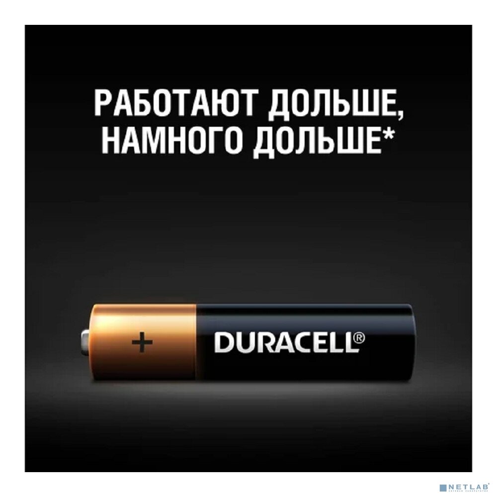 Duracell LR03-2BL BASIC (24/96/14592) (2 шт. в уп-ке) — фото 1