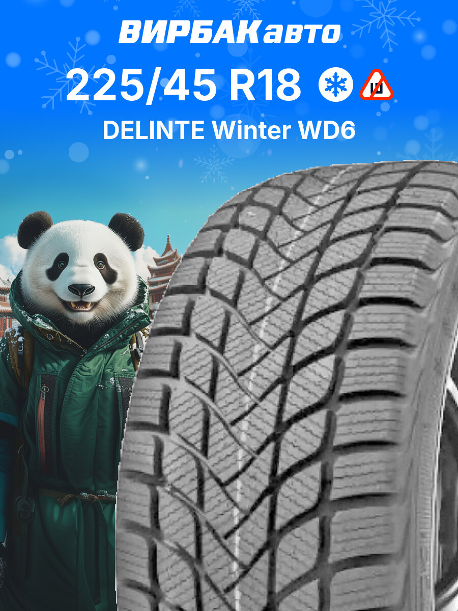 Зимние шины DELINTE Winter WD6 225/45R18 95H, зимняя автомобильная резина