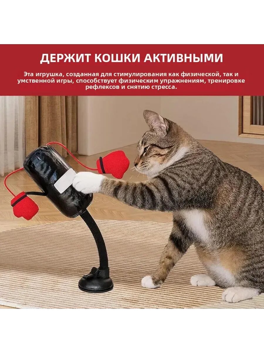 Боксерская груша для кота — фото 1
