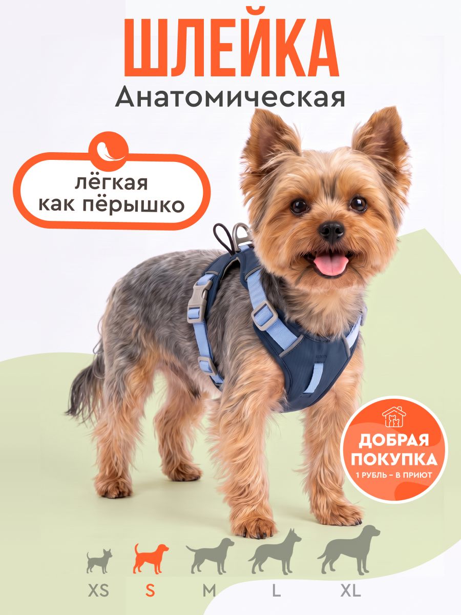 Легкая шлейка для собак мелких пород MiloPets, анатомическая, S, 4-8 кг