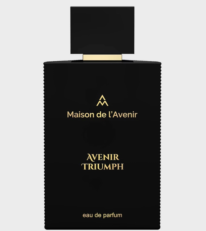 Maison De L Avenir Avenir Triumph парфюмерная вода для женщин и мужчин 100 мл - Триумф