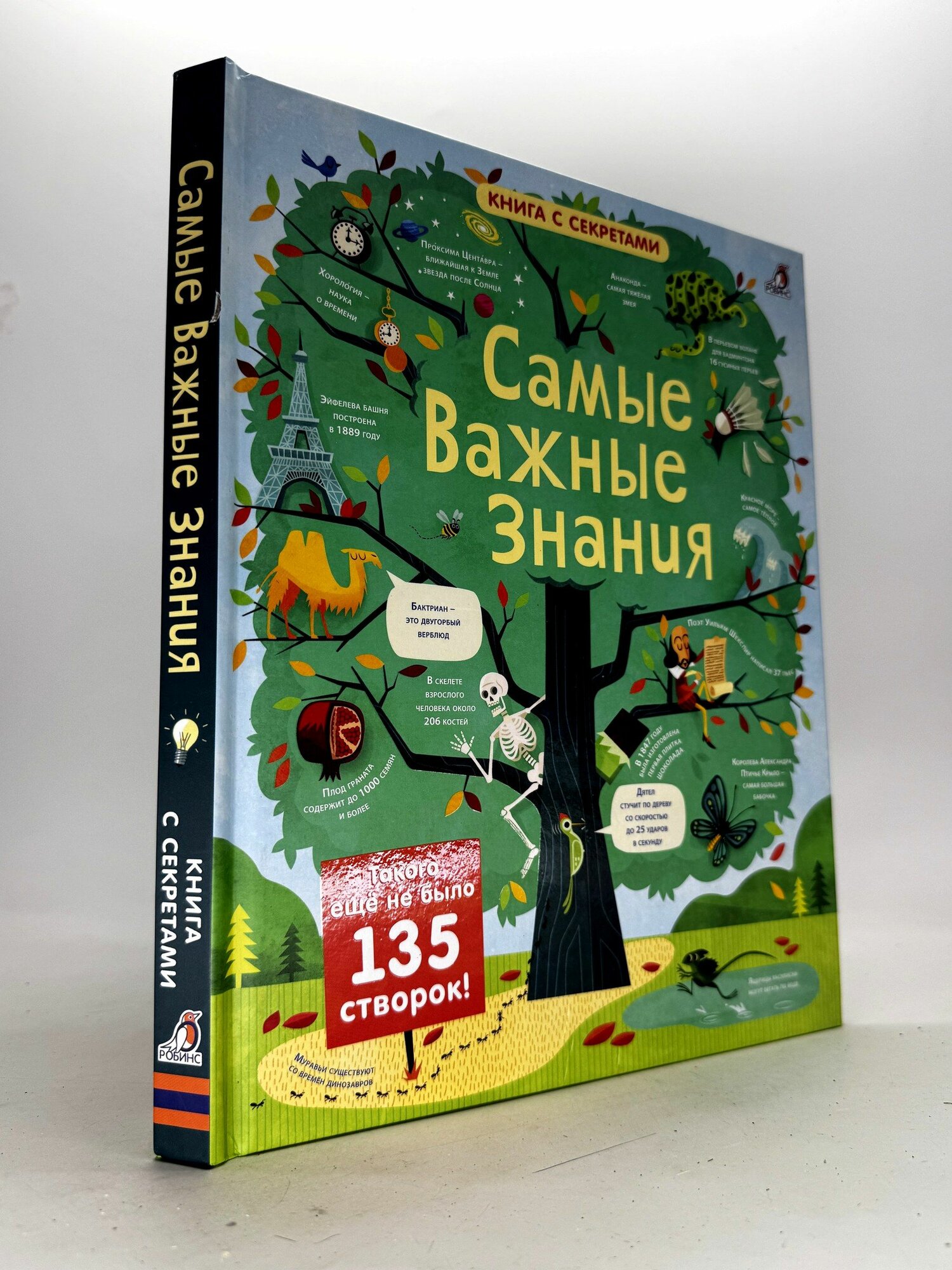 Книга «Самые Важные Знания», Твердый переплет