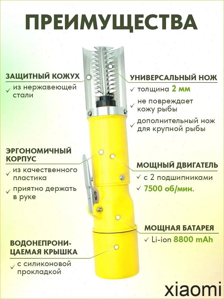 Рыбочистка