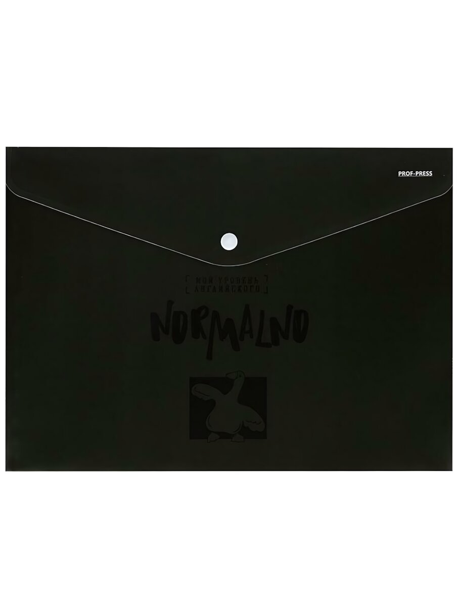 Папка-конверт на кнопке А4 "Нормально" для защиты документов, черный пластик, 180 мкм