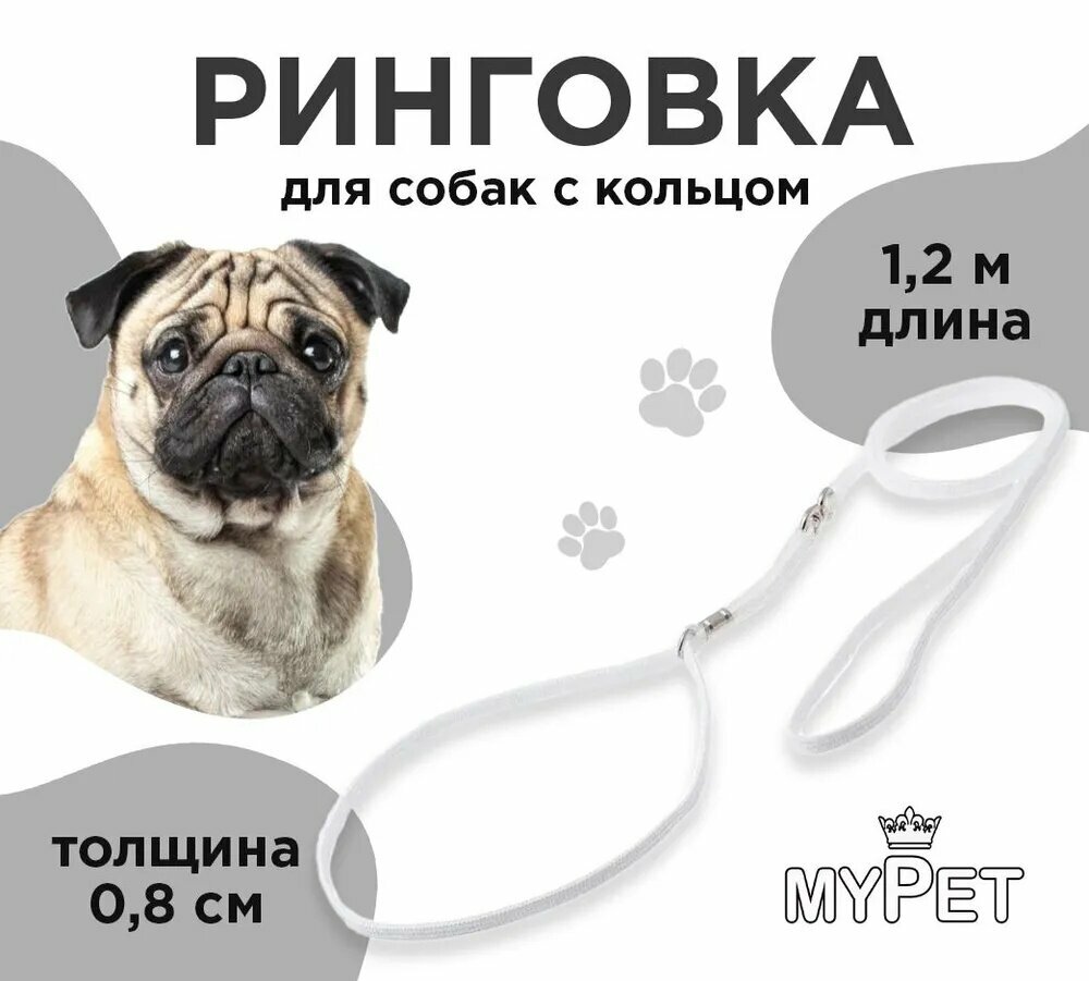 MyPet Ринговка для выставки и груминга / поводок удавка для собак с кольцом / ошейник для прогулки, белый