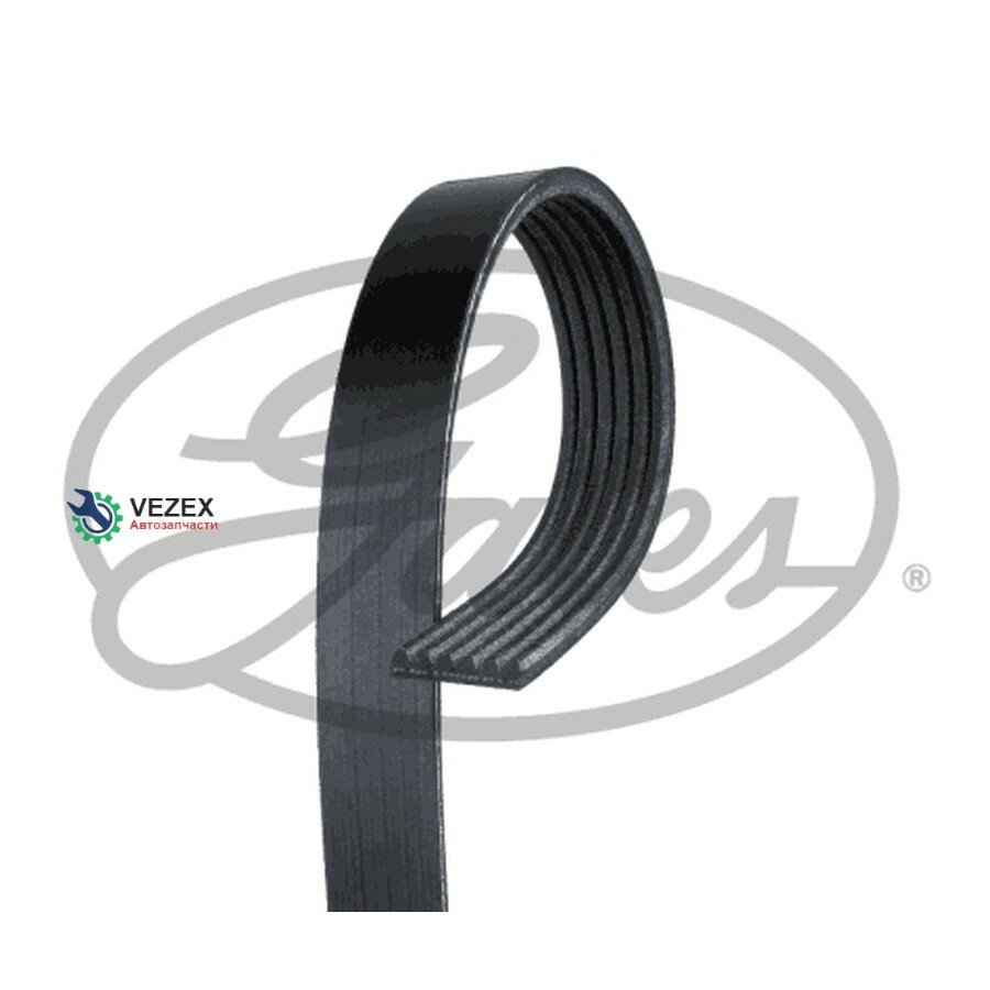 GATES 6PK2460 Поликлиновой ремень 6PK2460 (8653-10495)