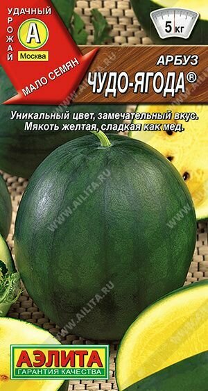 Семена Арбуз "Чудо-ягода" среднеранний "Аэлита"