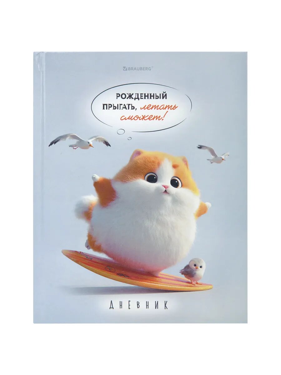 Дневник школьный 5-11 класс 48 листов твердый