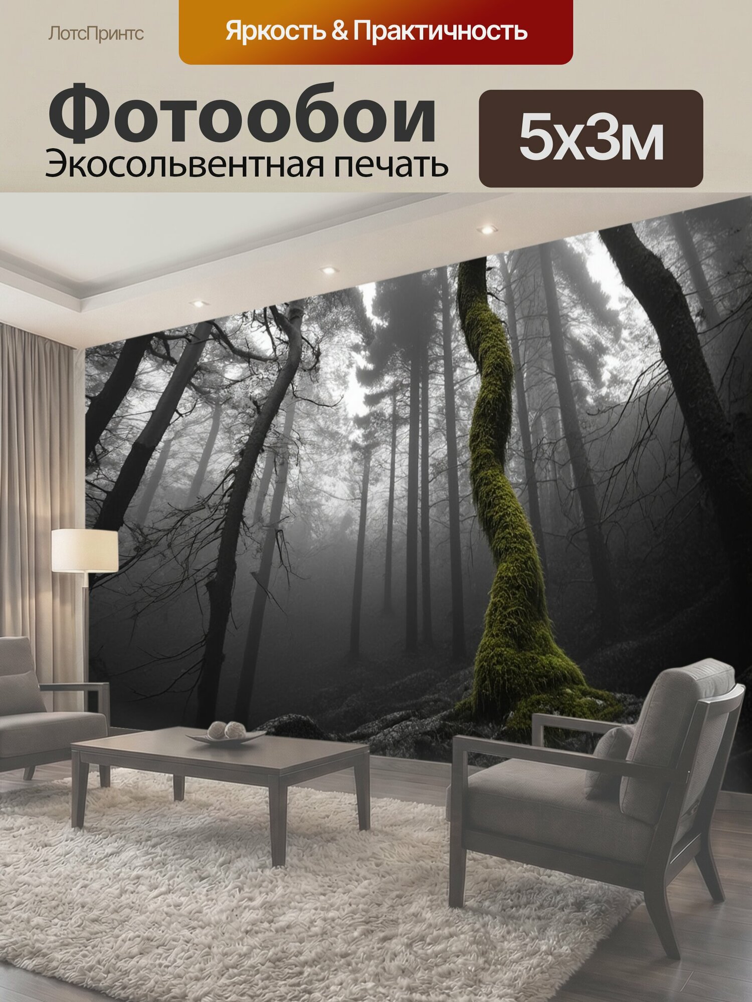 Фотообои "Черно-белая фотография леса в тумане, деревья с искривленными стволами и ветками, покрытые мхом" 500x300 см. экосольвентная печать