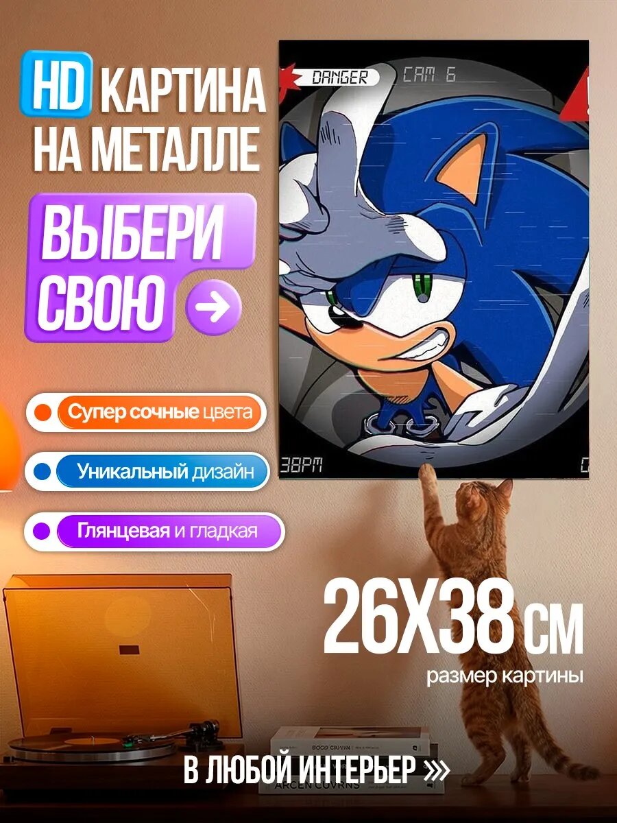 Картина на HD металле Соник ежик