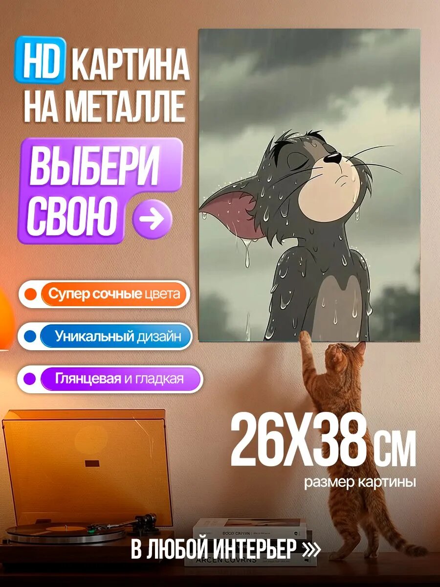 Картина на HD металле Кот в дождливую погоду