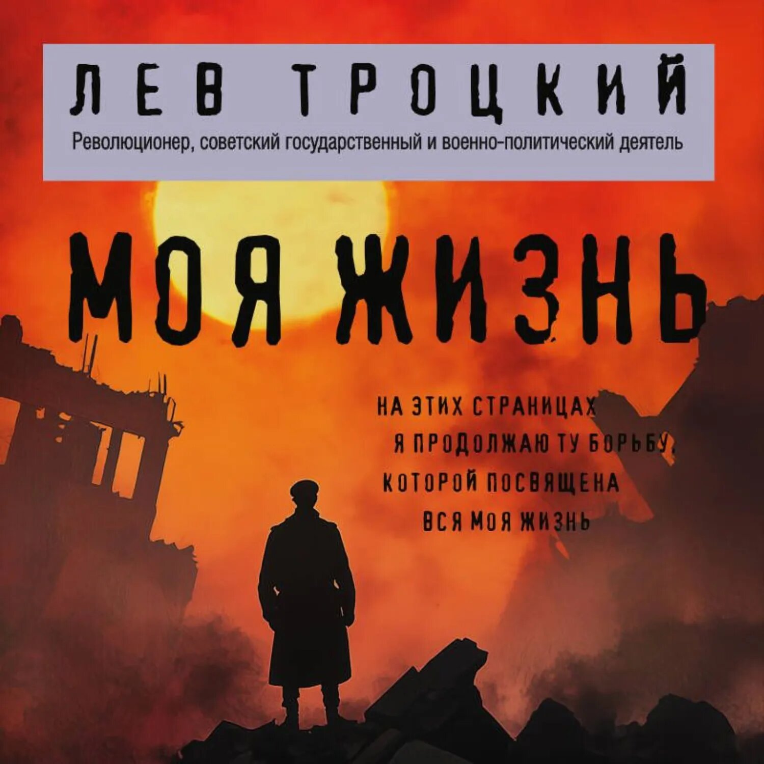 Моя жизнь [Аудиокнига]
