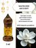 Магнолия цветы абсолют "East Nights" Bull bay magnolia absolute Латинское назван...