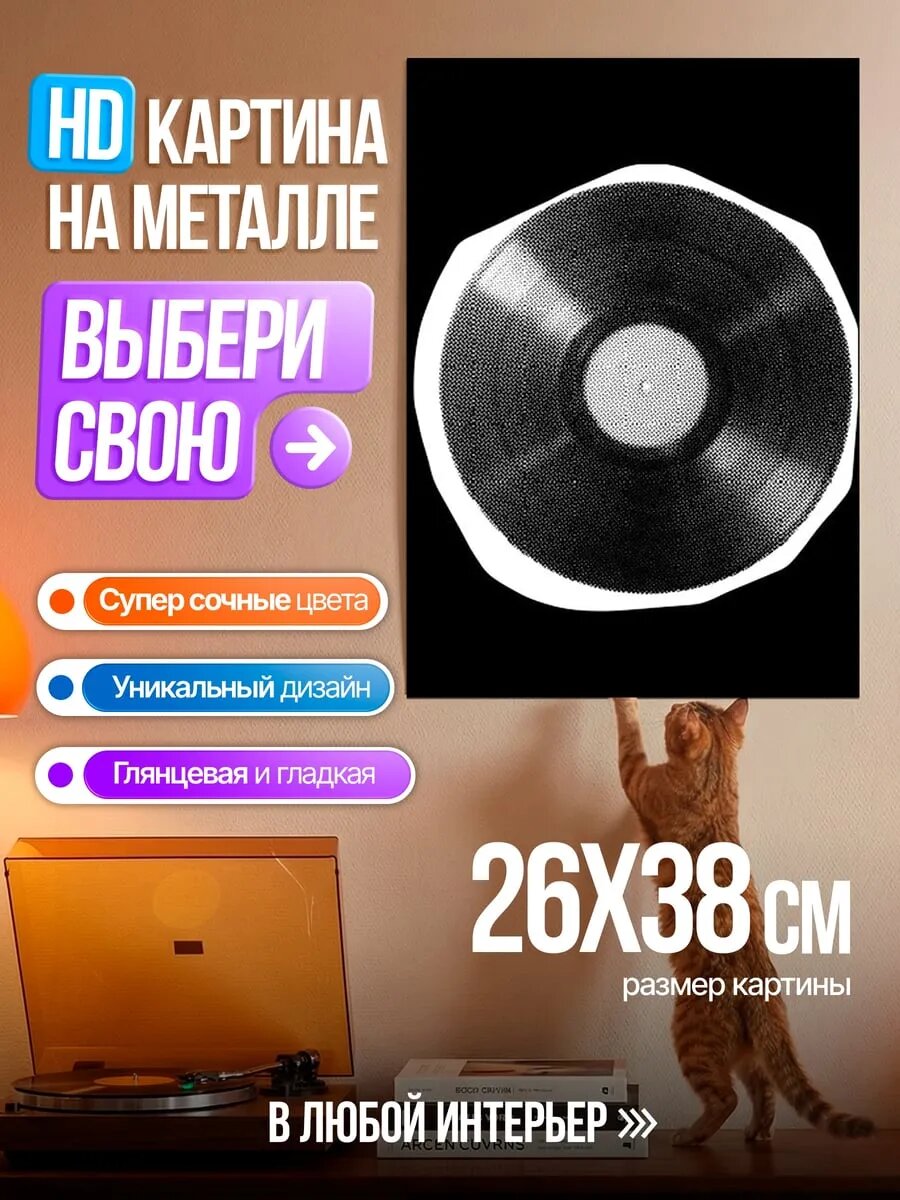 Картина на HD металле Виниловая пластинка