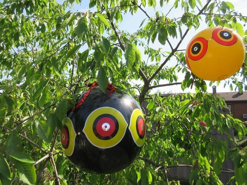 Шар с имитацией глаз хищной птицы, пугало, отпугиватель птиц 40 см, красный