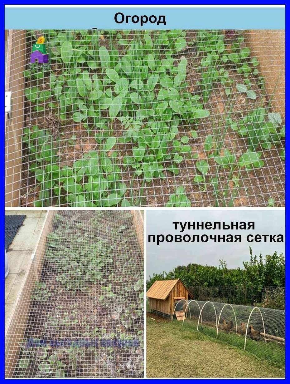Колючая проволока — фото 1