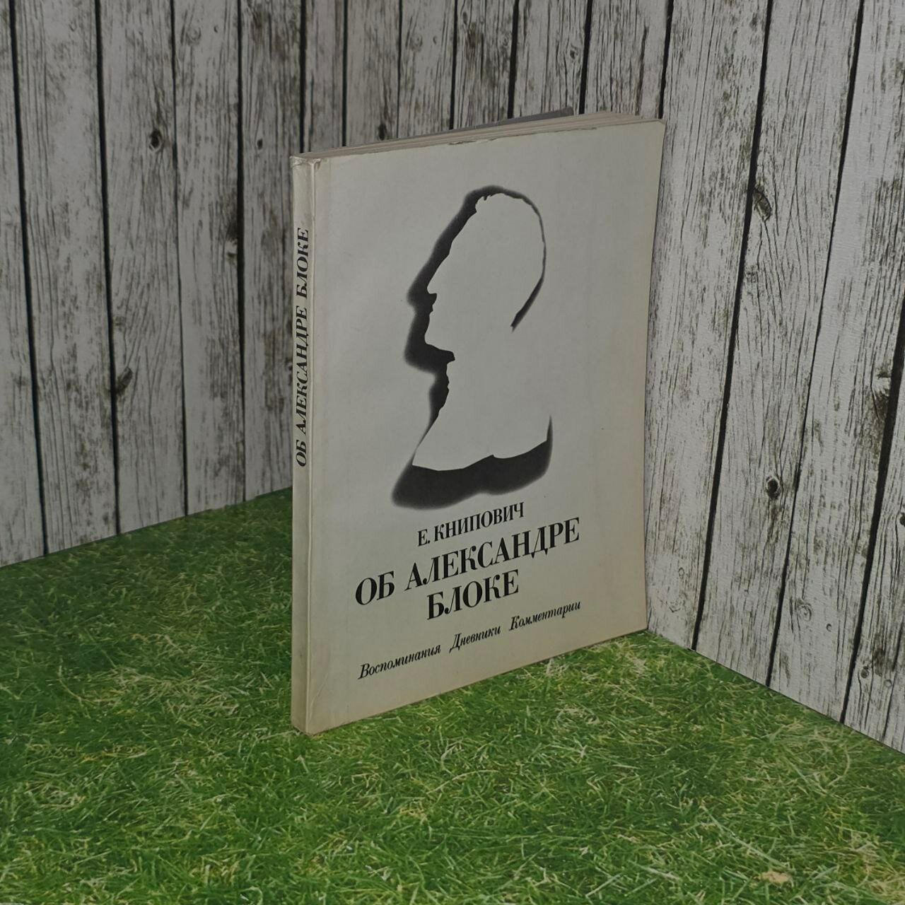 Об Александре Блоке. Книпович Евгения Федоровна