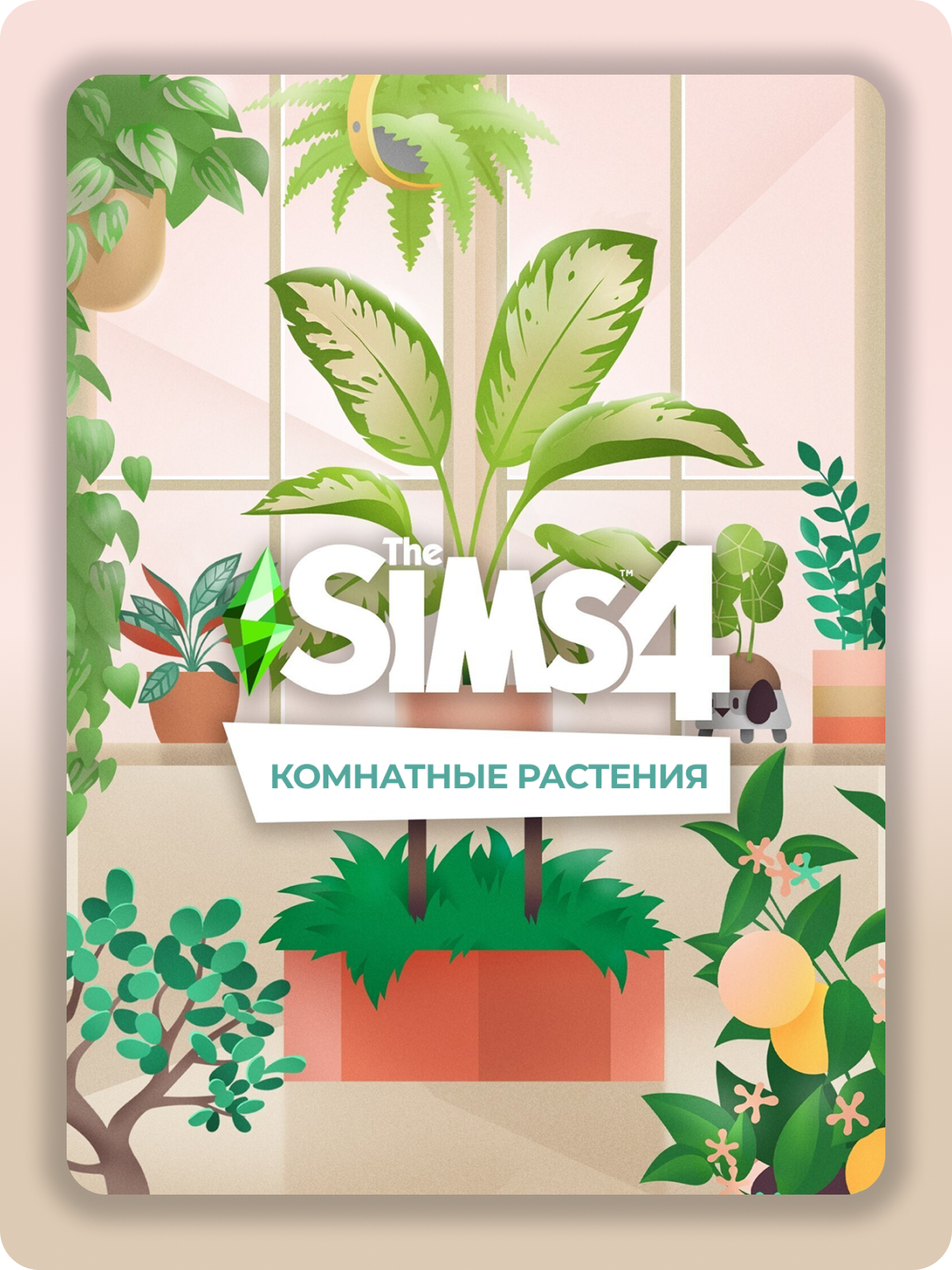 The Sims 4: Комнатные растения, Все страны