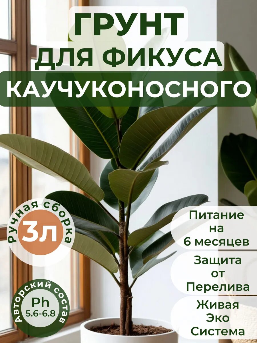 Готовый авторский грунт для Фикуса Каучуконосного премиум 3л