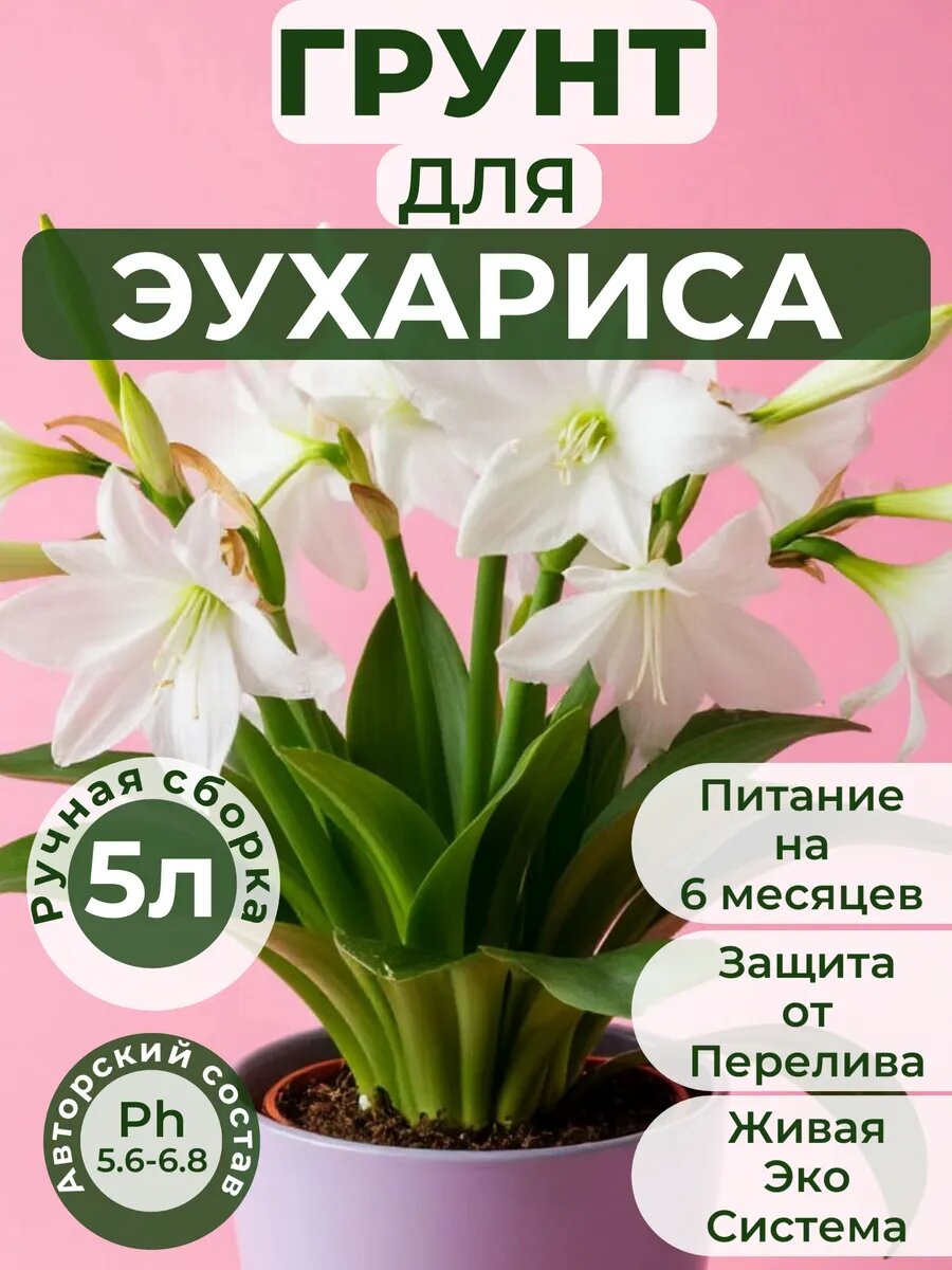 Готовый авторский грунт для Эухариса, премиум 5 литров