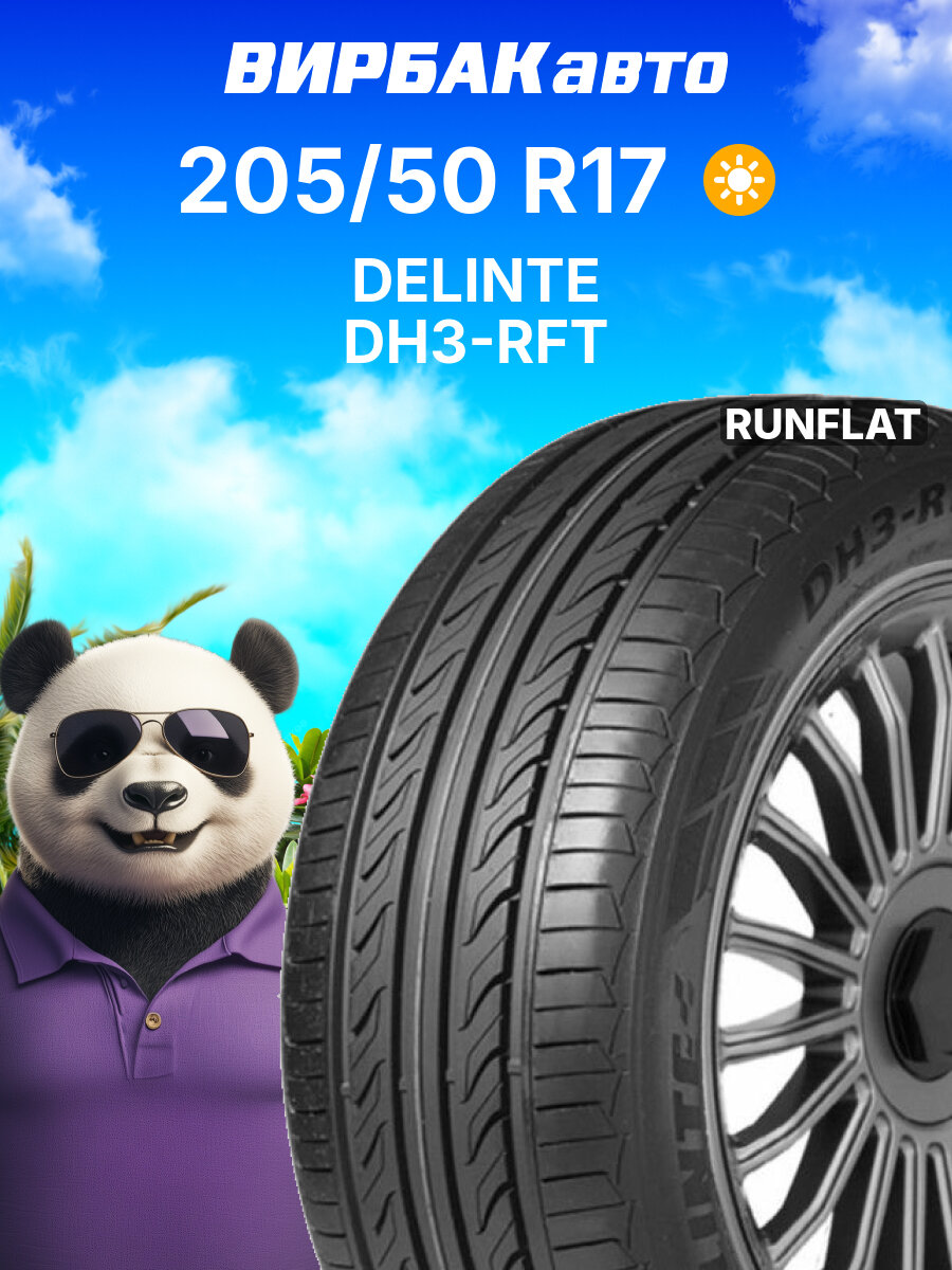 Летние шины DELINTE DH3-RFT 205/50R17 89W RunFlat, летняя автомобильная резина