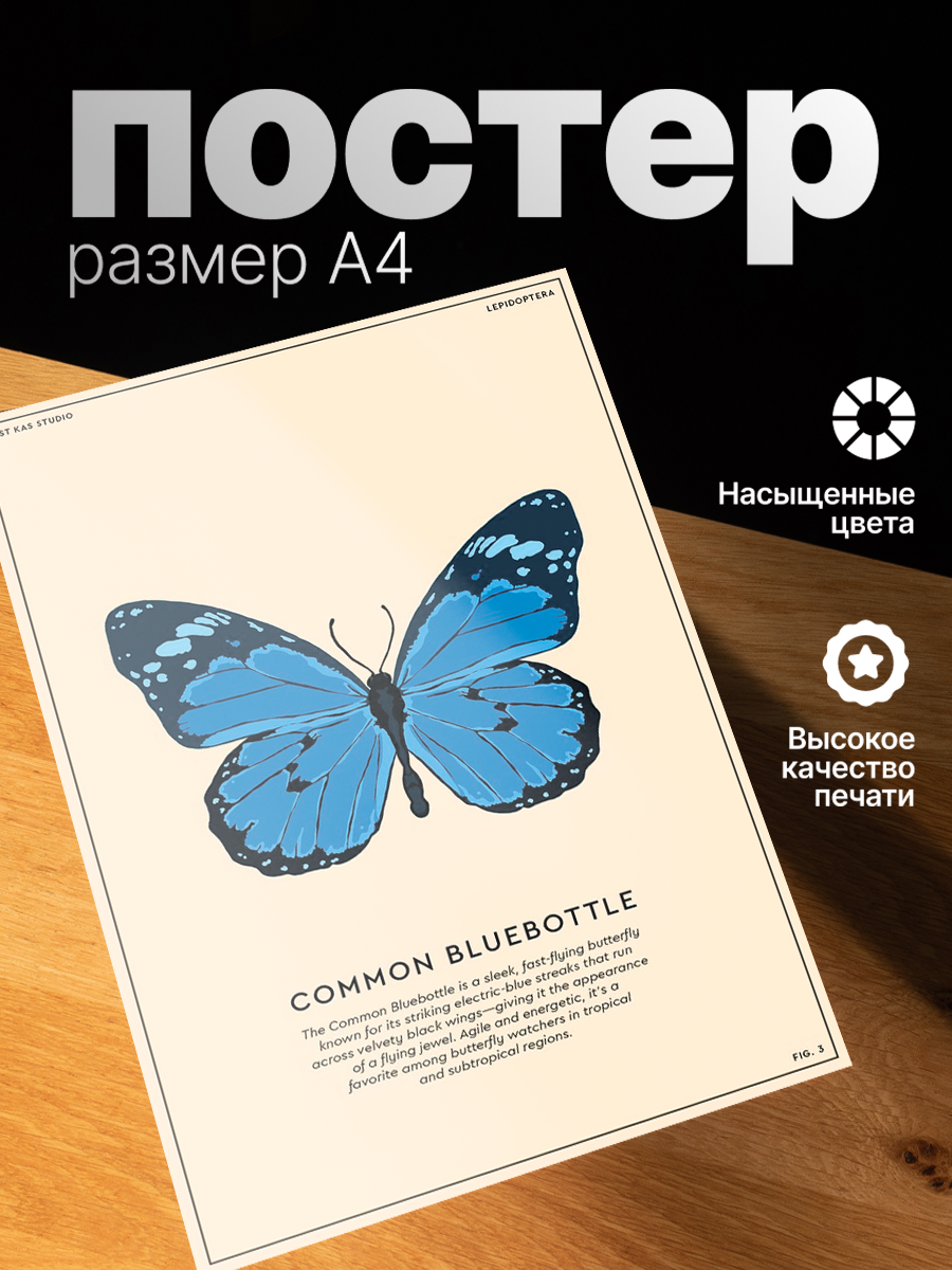 Постер ZEKEKS "Бабочка", на стену, без рамы, цифровая печать, 21x29