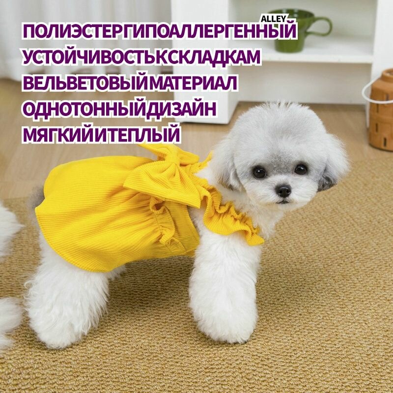 Платье для кошек и мелких собак из вельвета, однотонное