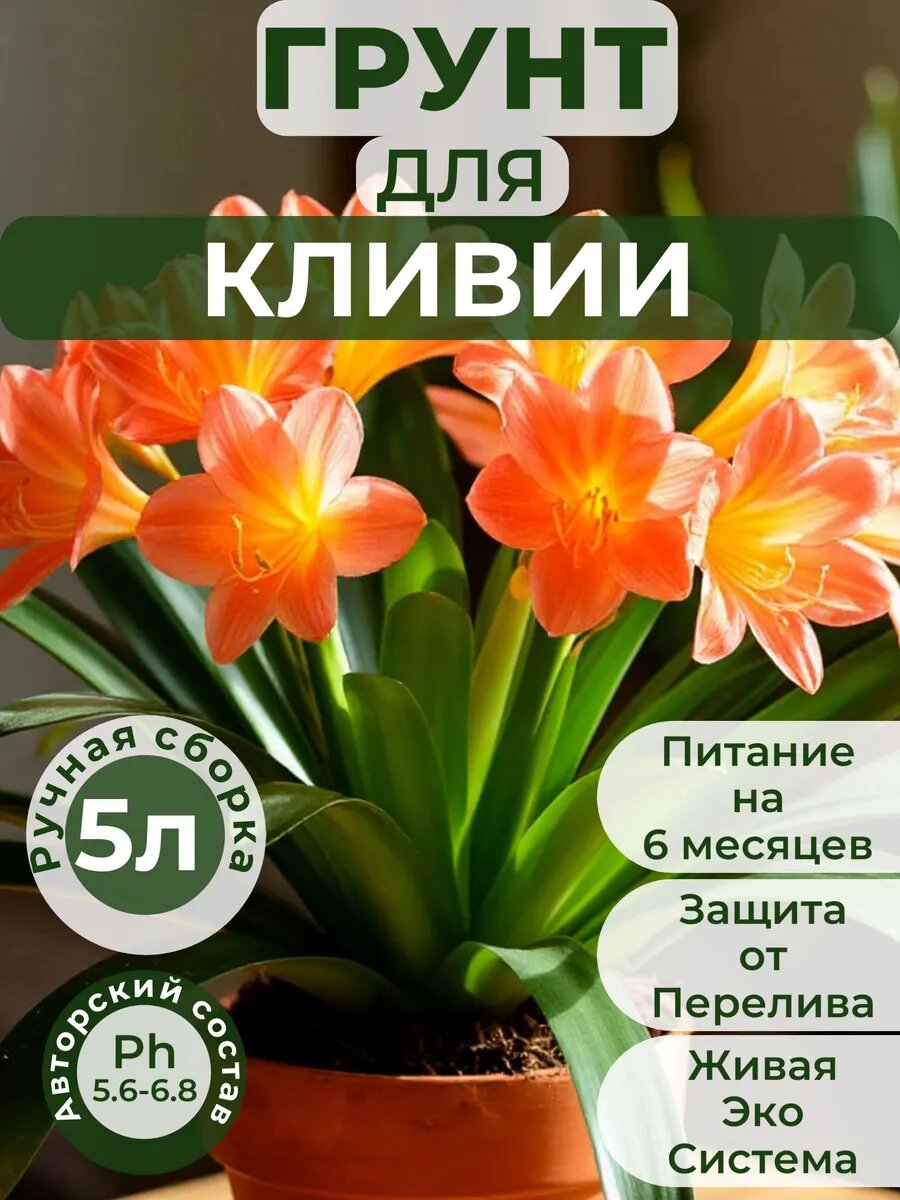 Готовый авторский грунт для Кливии премиум 5 литров