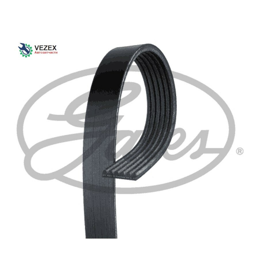 GATES 6PK1520 Поликлиновой ремень 6PK1520 (8653-10331)
