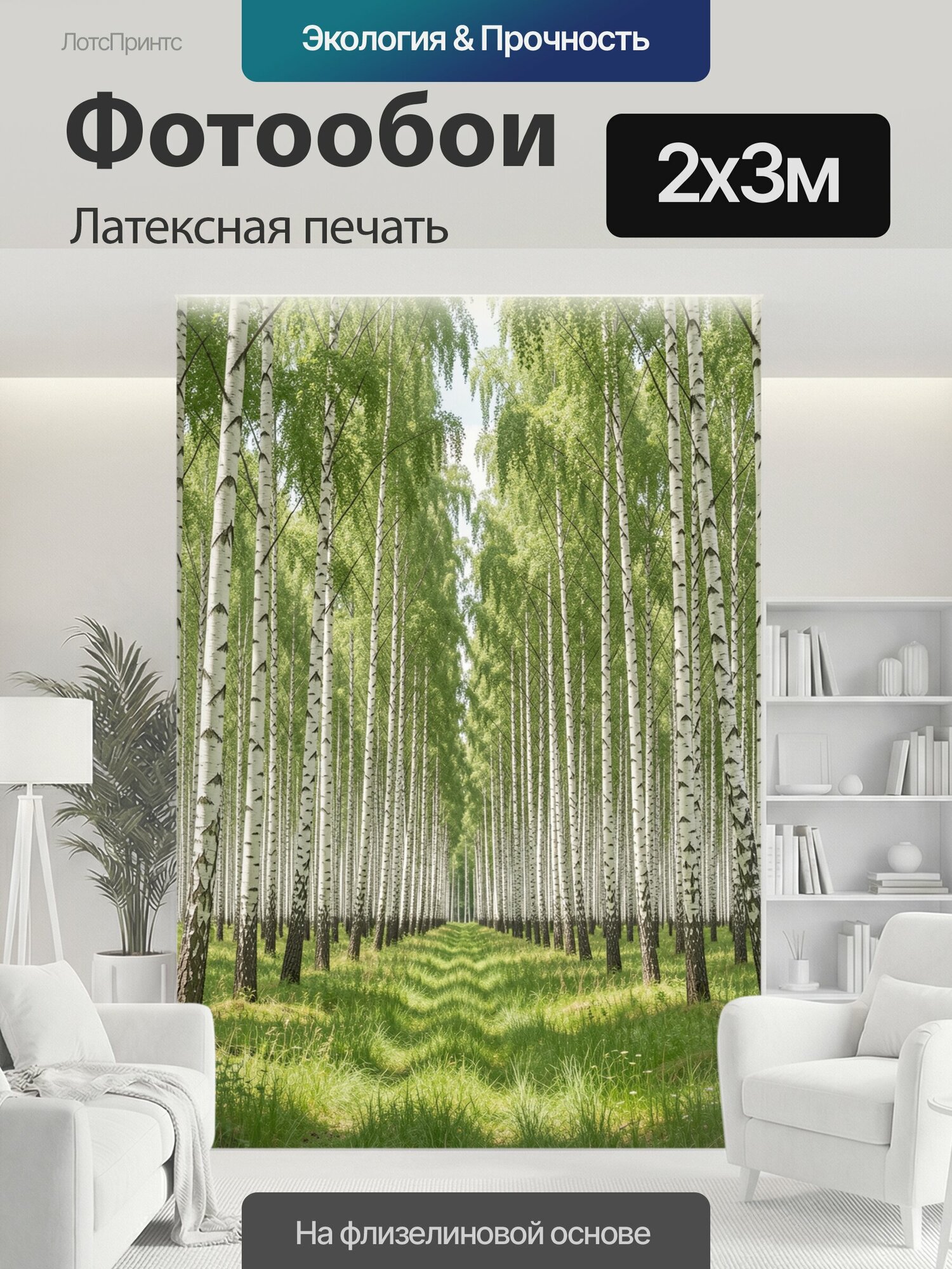 Фотообои моющиеся ударопрочные "Березовая аллея в летнем лесу. Светлая роща с высокими стволами берез и густой зеленью, уходящая в перспективу." 200x300 см. латексная печать