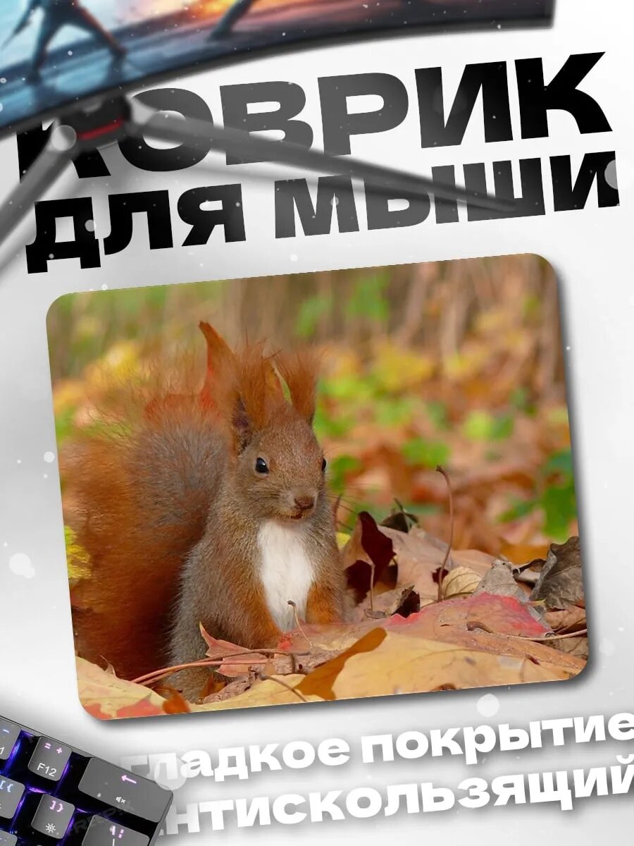 Коврик для мыши Рыжая белка осенью
