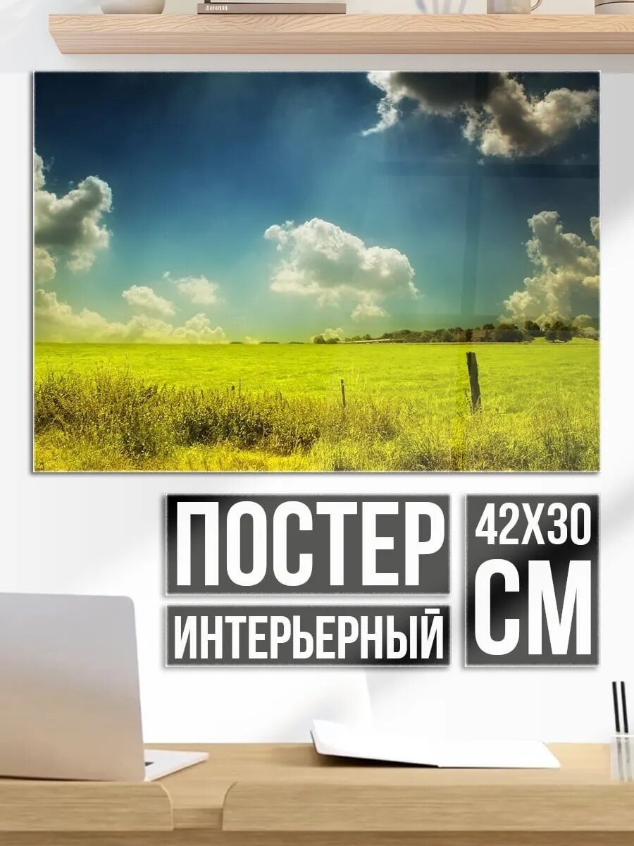 Плакат постер Летнее поле