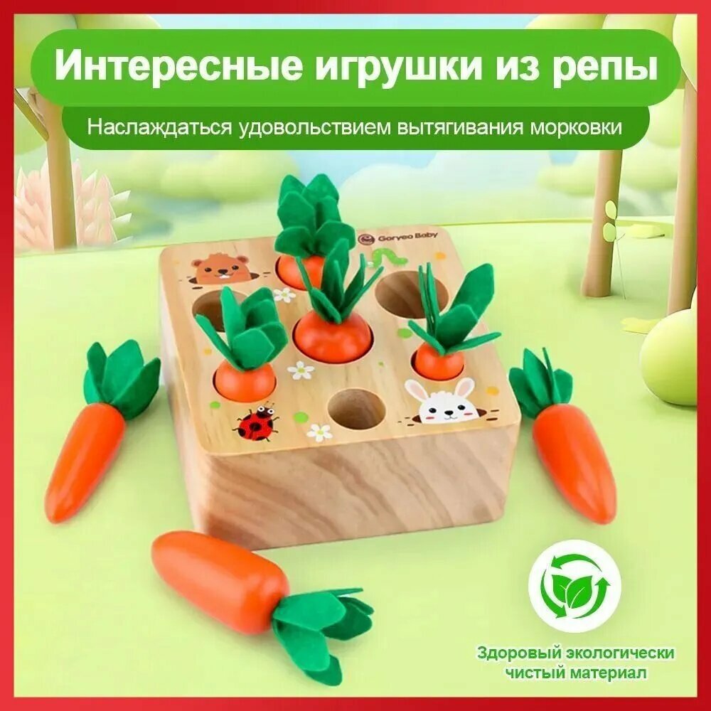 Сортер