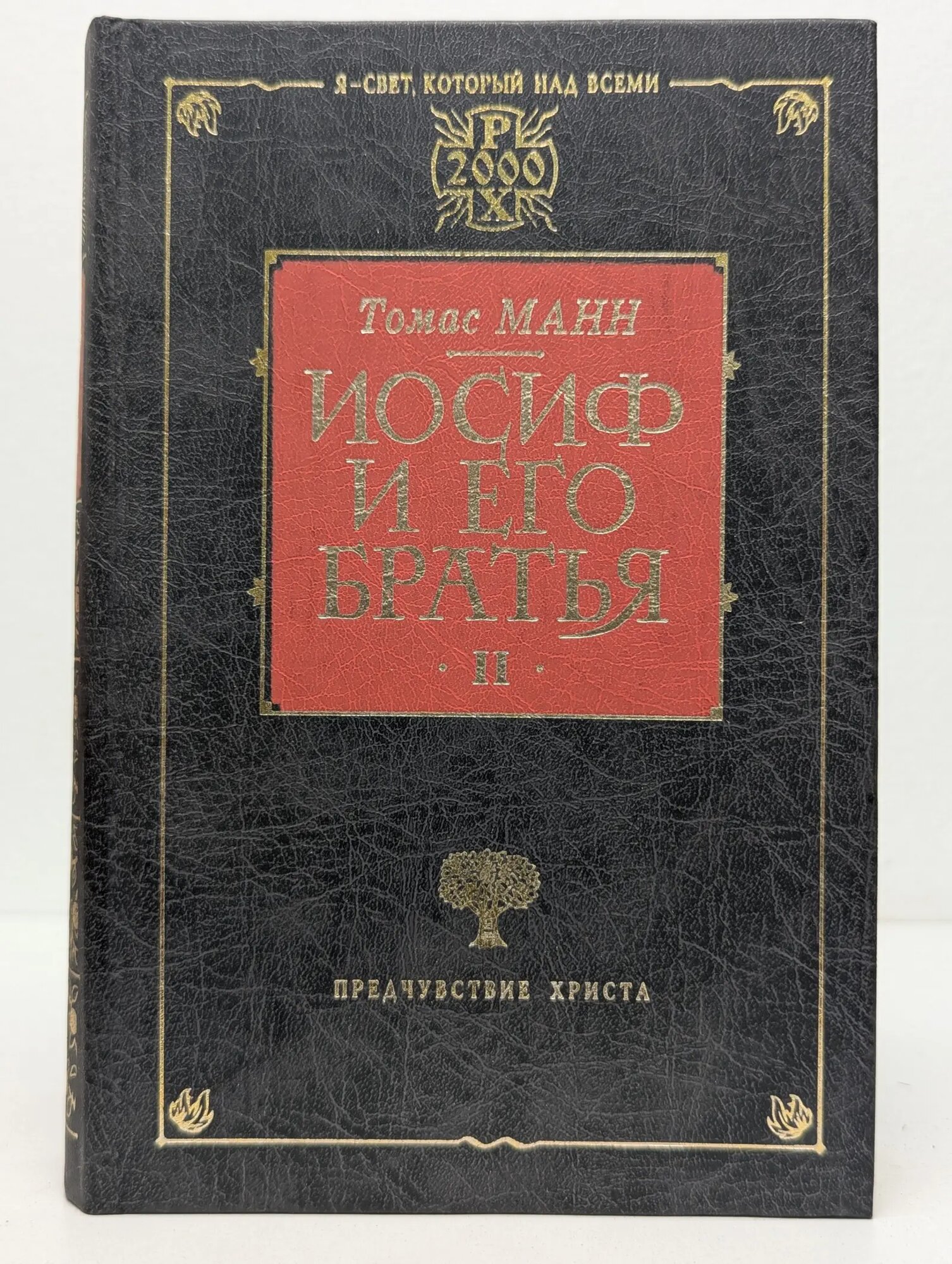 Предчувствие Христа. Иосиф и его братья. Том 2 Манн Томас 2000