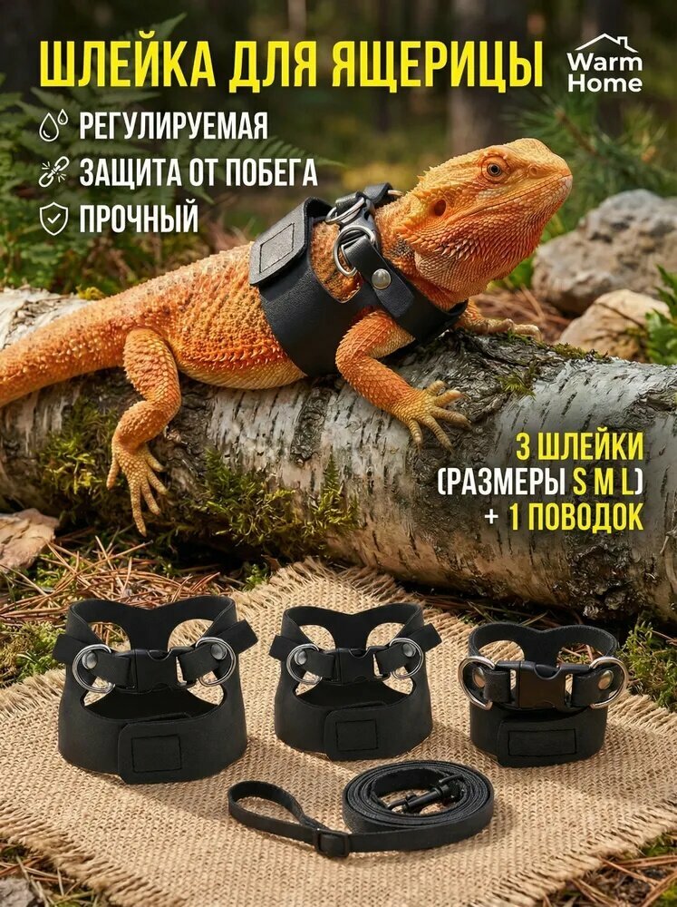 Шлейка с поводком для ящериц и грызунов, 3 размера, кожаная, черная, набор