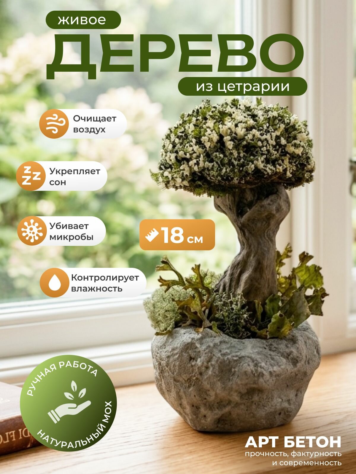 Дерево из Цетрарии на камушке