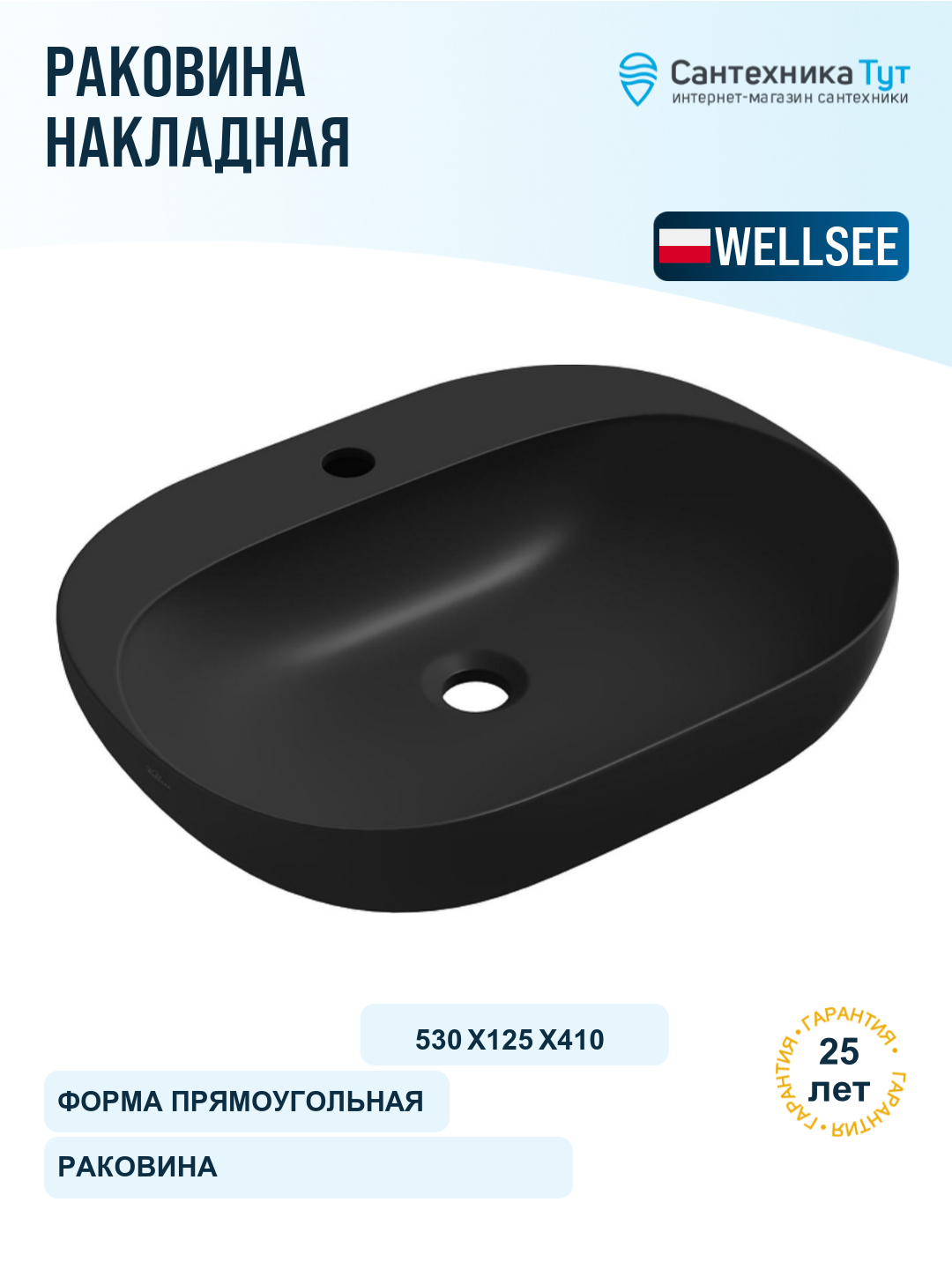 Раковина Wellsee Pro Line 53 337502000 цвет Черный матовый