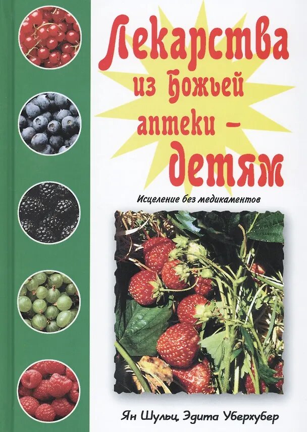 Лекарства из Божьей аптеки детям Исцеление без медикаментов (Шульц)